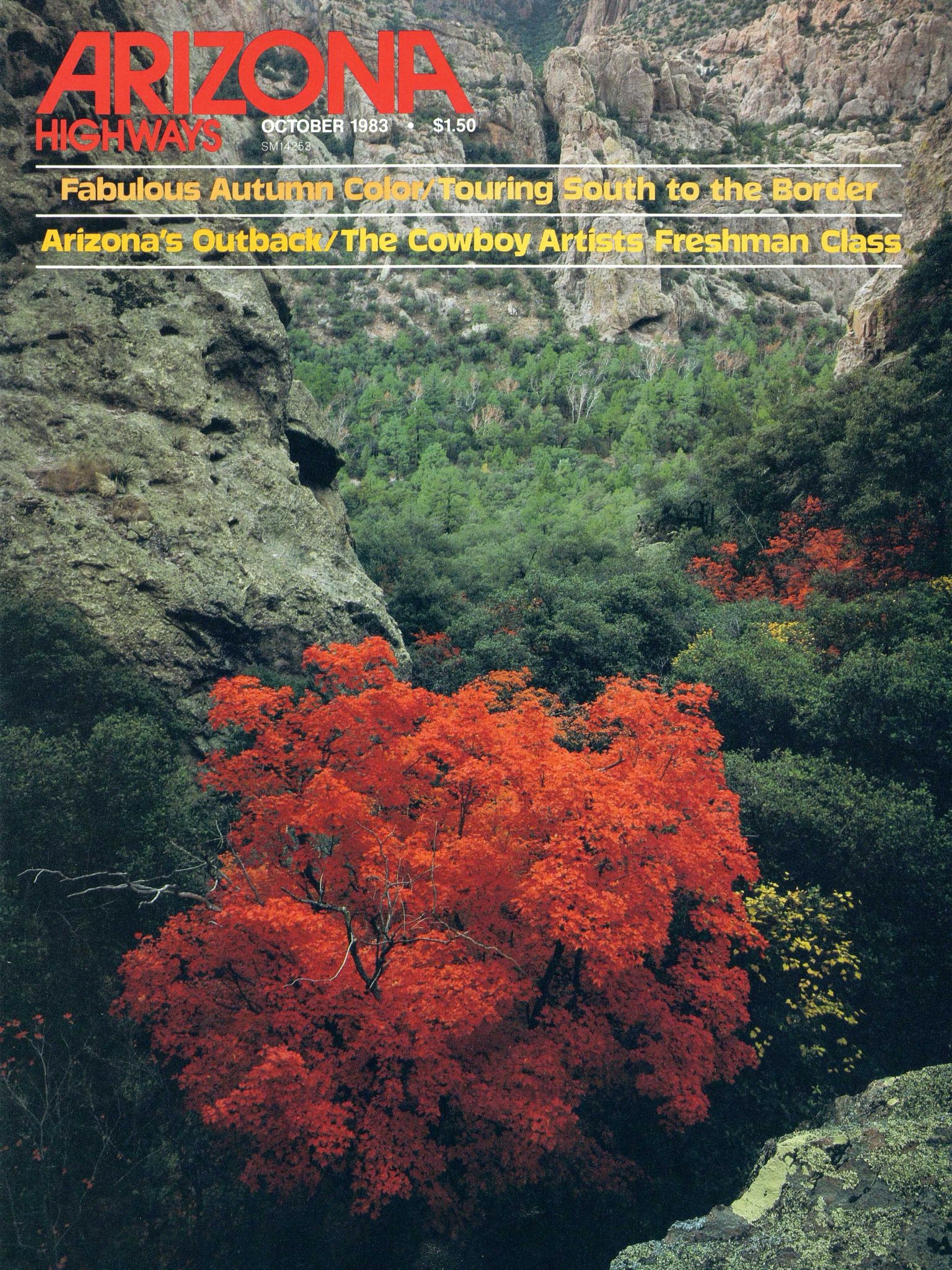 Collaborations – The Allure of Light