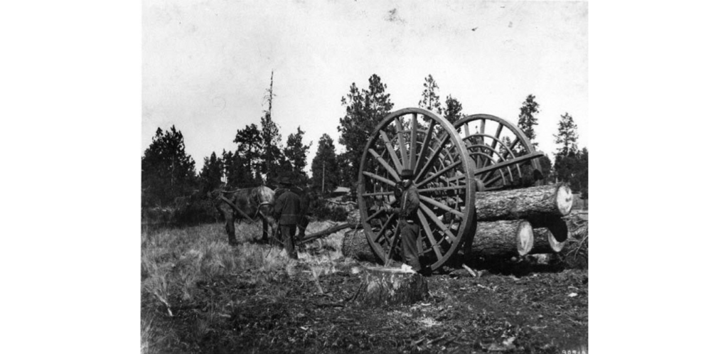 Exhibit Timeline – TIMBER!