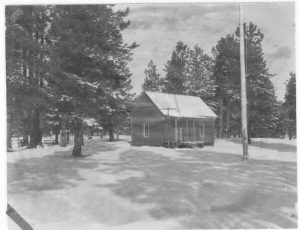 Exhibit Timeline – TIMBER!