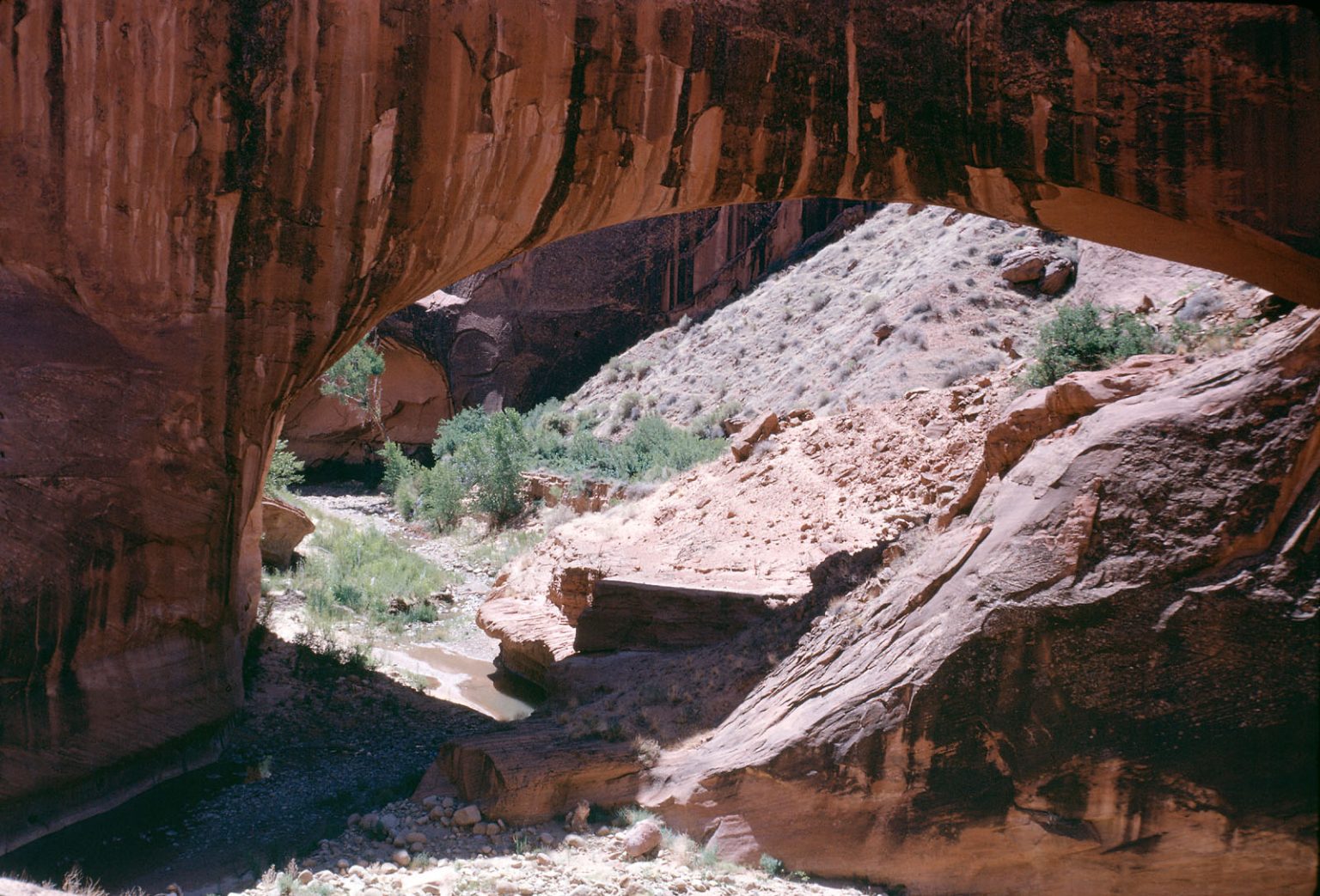 Canyons, bridges, and crossings – Images of a Lost World: Glen Canyon ...